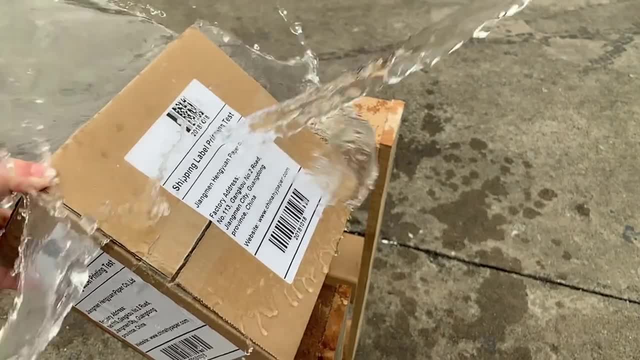 Zebra 4 X 6 Inch Direct Thermal Labels Waterproof, Oil Proof, Scratch ...